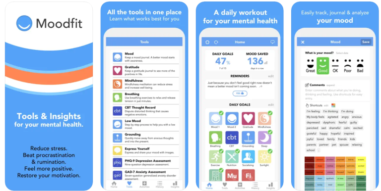 Mood Tracking App Development Cost And Features - IdeaUsher