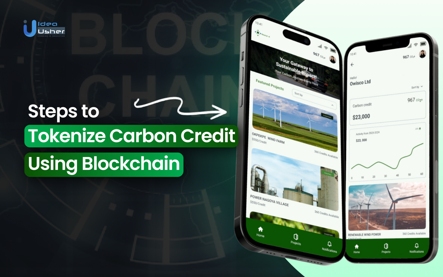 Steps to Tokenize Carbon Credits Using Blockchain - IdeaUsher