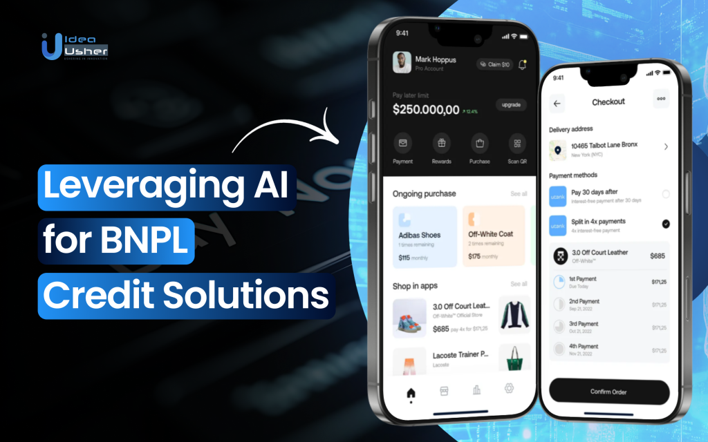 Leveraging AI for BNPL Credit Solutions - Idea Usher