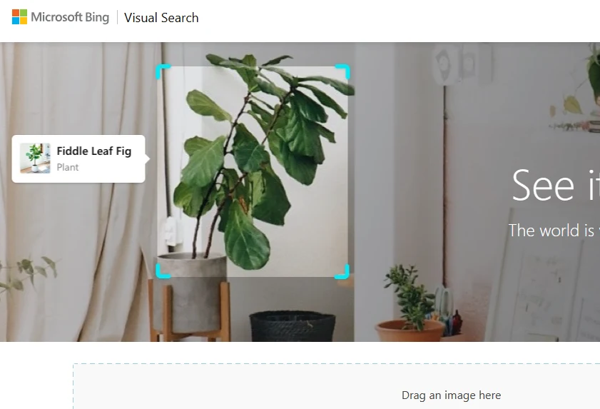 AI In Visual Product Search: Benefits And Use Cases - Idea Usher